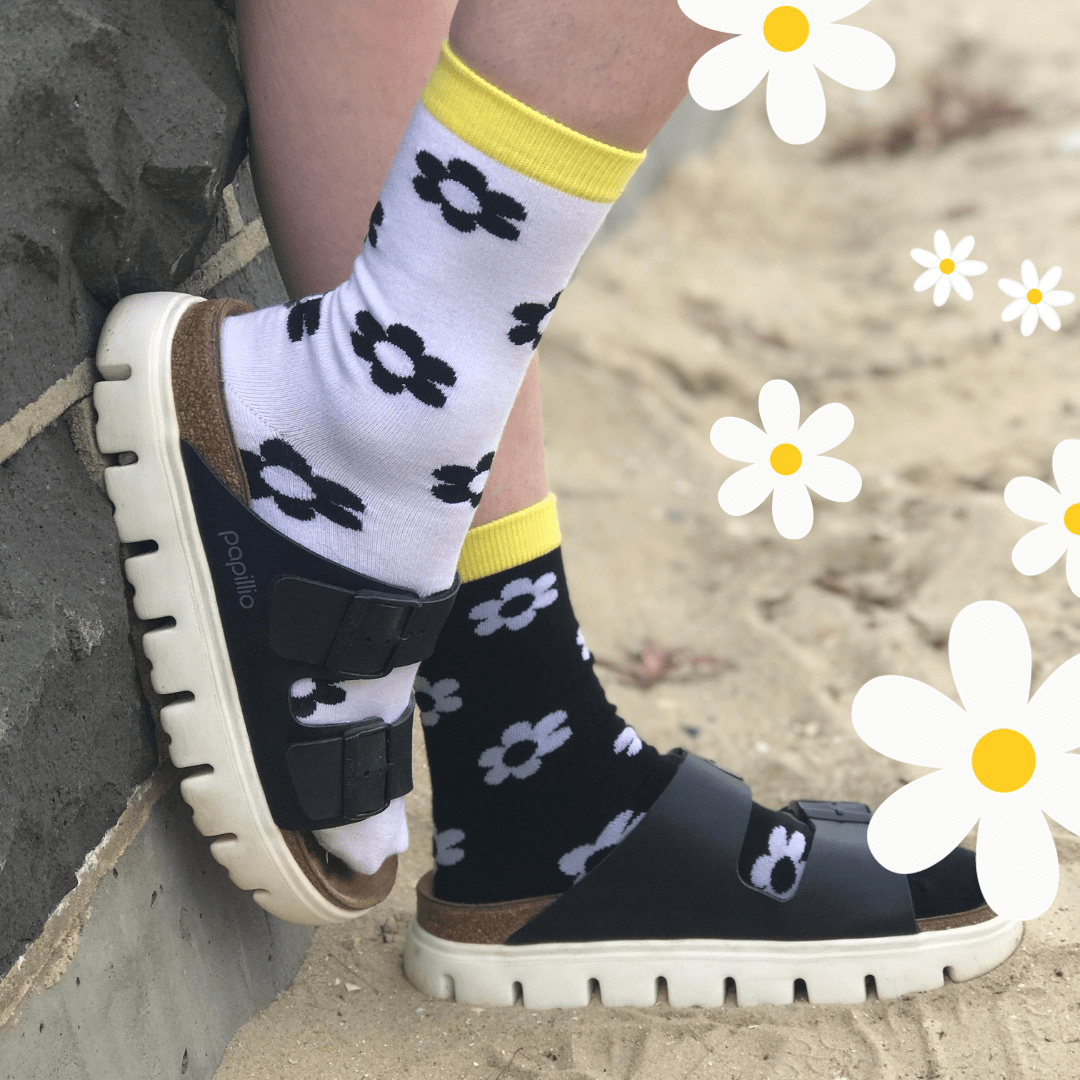 Join the Odd Sock Squad | Lambchopssocks